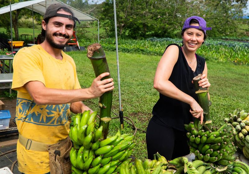 Learn to Grow with HIP Ag: Free Agricultural Workshops in Hawai'i