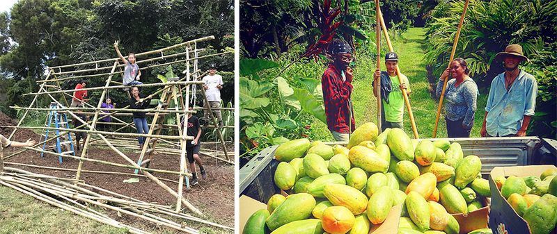 HIP Ag Congratulates High School Interns on Completing 6-Week Farm ...
