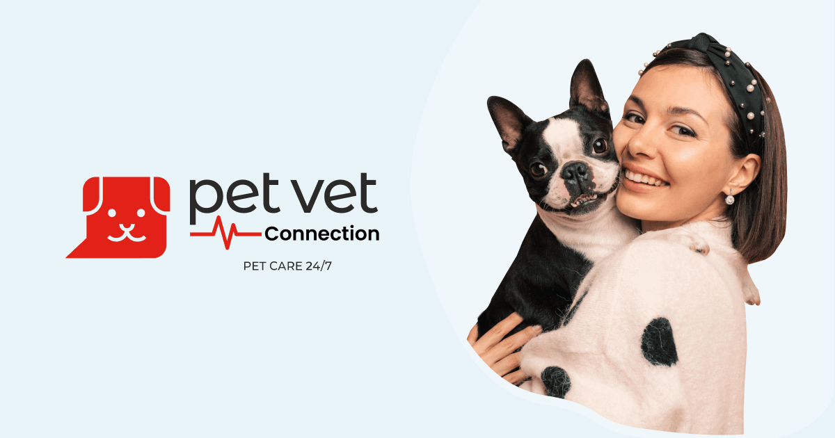Pet Vet Connection -Veterinary Telehealth Solution
