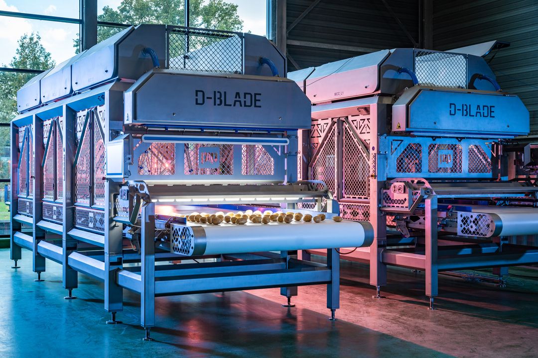 Strawberry industry - PIP Innovations