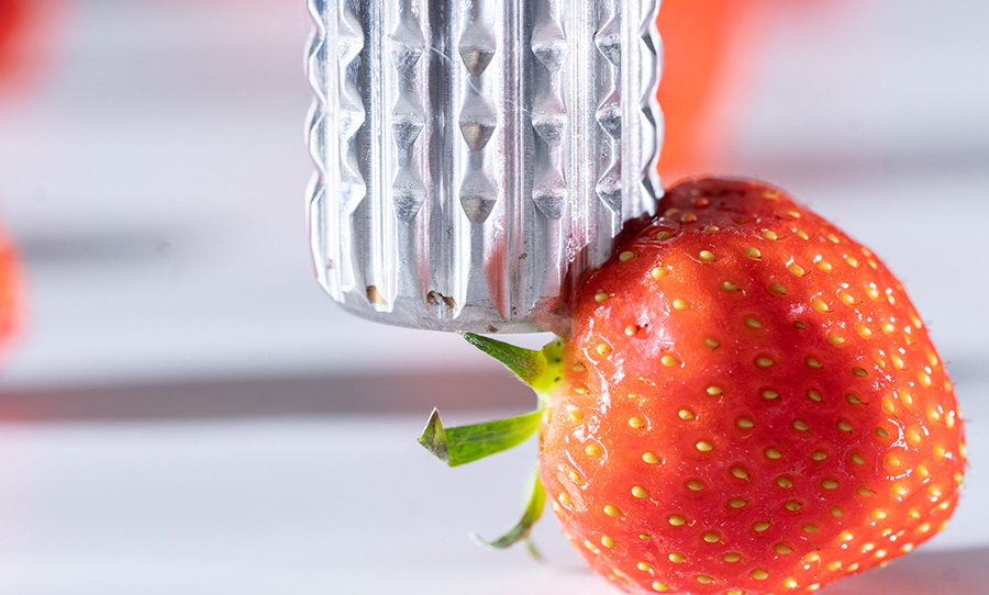 Strawberry industry - PIP Innovations