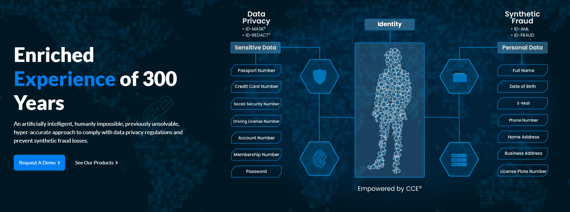 Data Protection Solution | Data Safeguard Inc