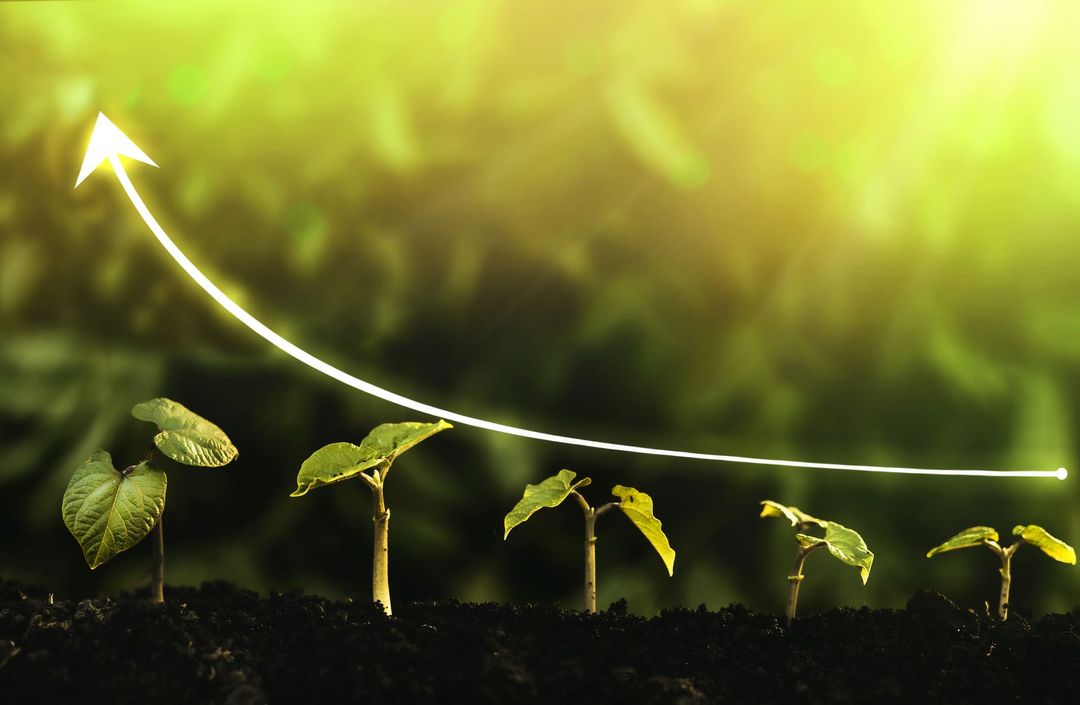 Get the Best Out of Your Plants with Grow Lights | Lumen-King | Top quality