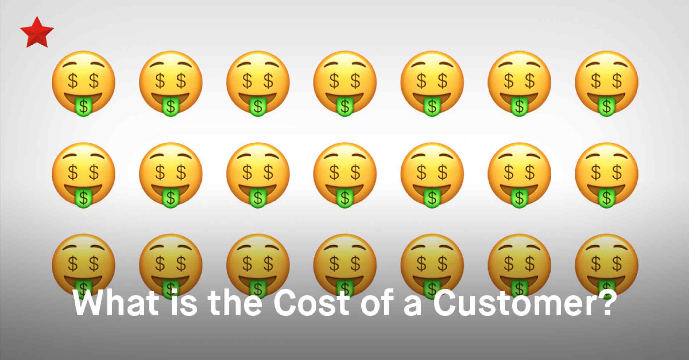 How Much Does a Customer Cost?