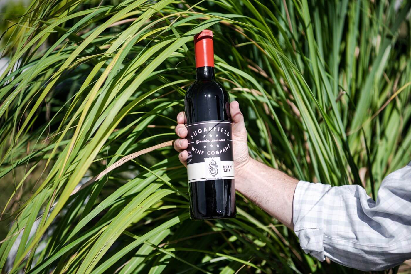 Sugarfield Spirits — SASSO* | Branding & Advertising Agency ...