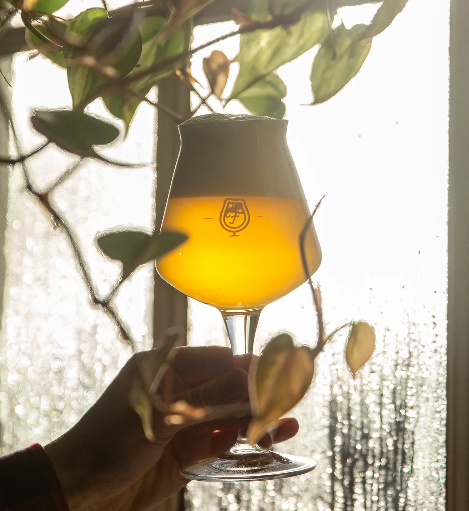 Jake Caggige | Design & Development Portfolio