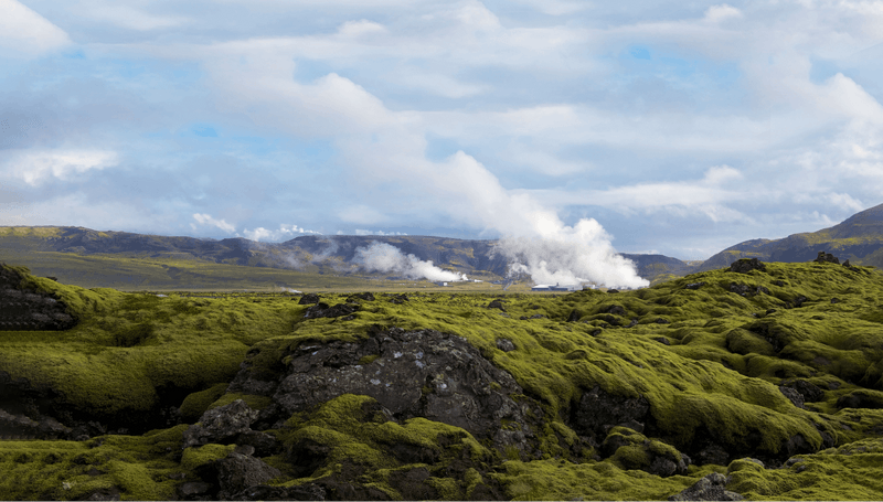 Landeldi – The project