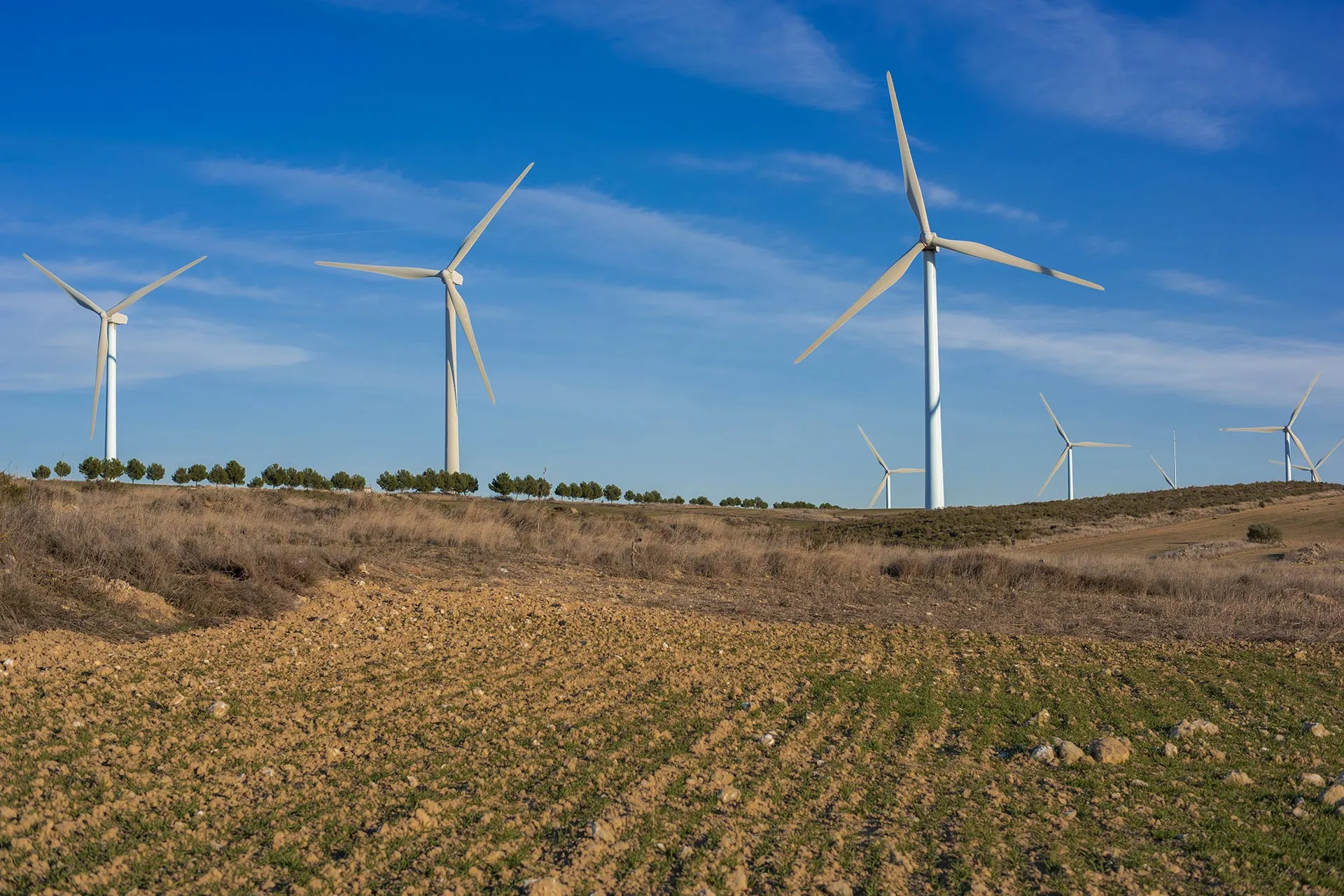 Onshore Wind - Banana Range Wind Farm | EDF Renewables Australia