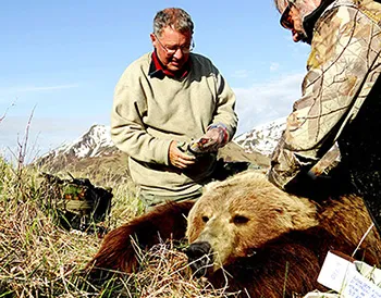 Scientific Research on the Kodiak Brown Bear