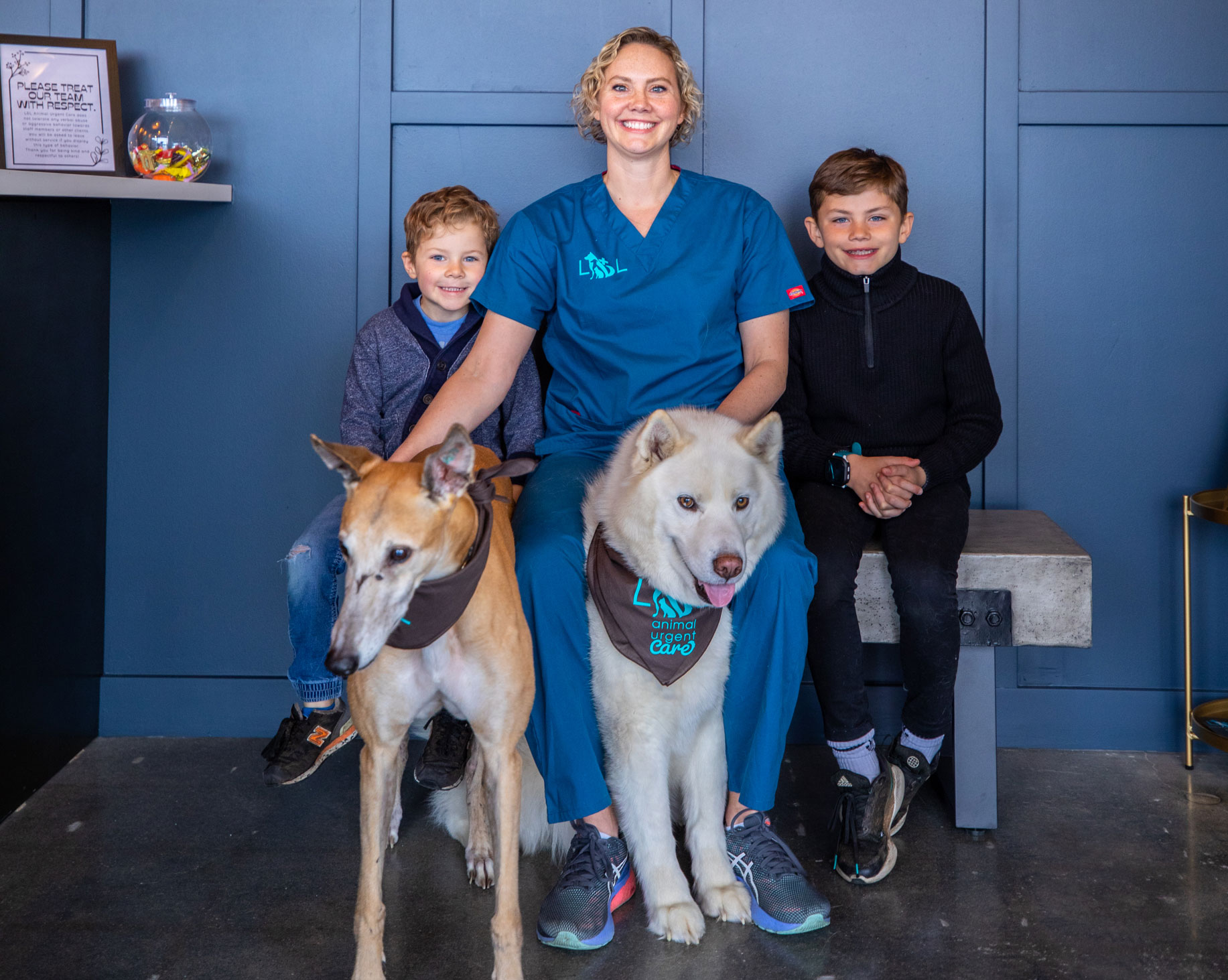 High-Quality Vet Hospital in Kirkland, WA| L & L Animal Urgent Care