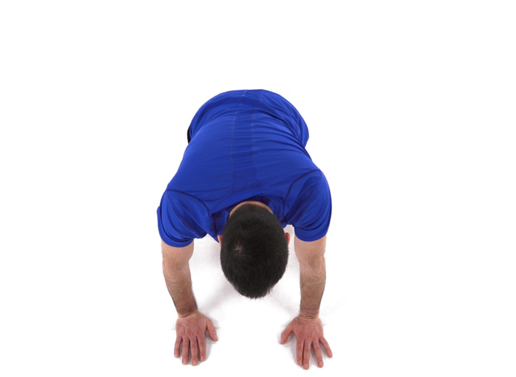 The Best Physiotherapy Exercises for Lower Back Pain | Inertia Physio