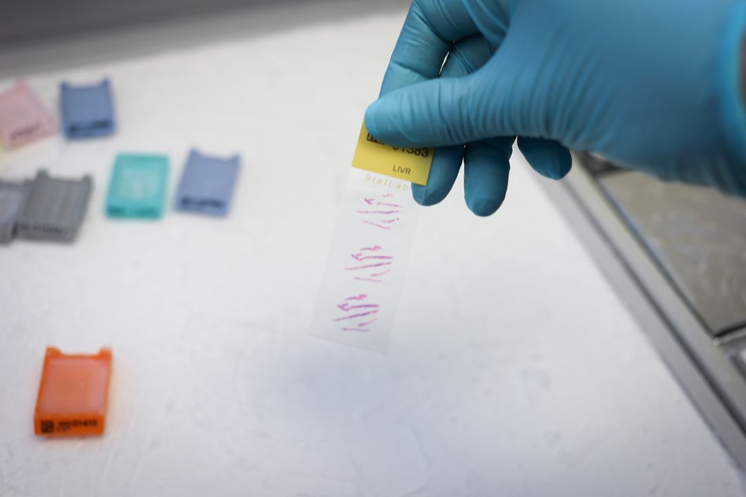 Medical Cytology - Pee Dee Pathology