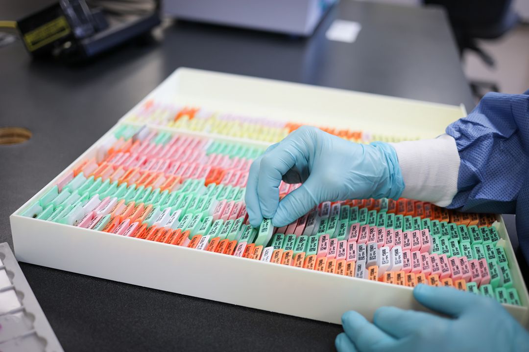 Specimen Submission - Pee Dee Pathology