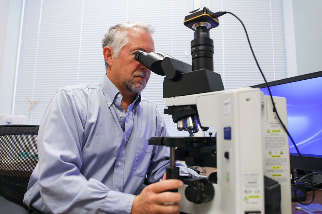 Susan M Stuber, MD - Pee Dee Pathology