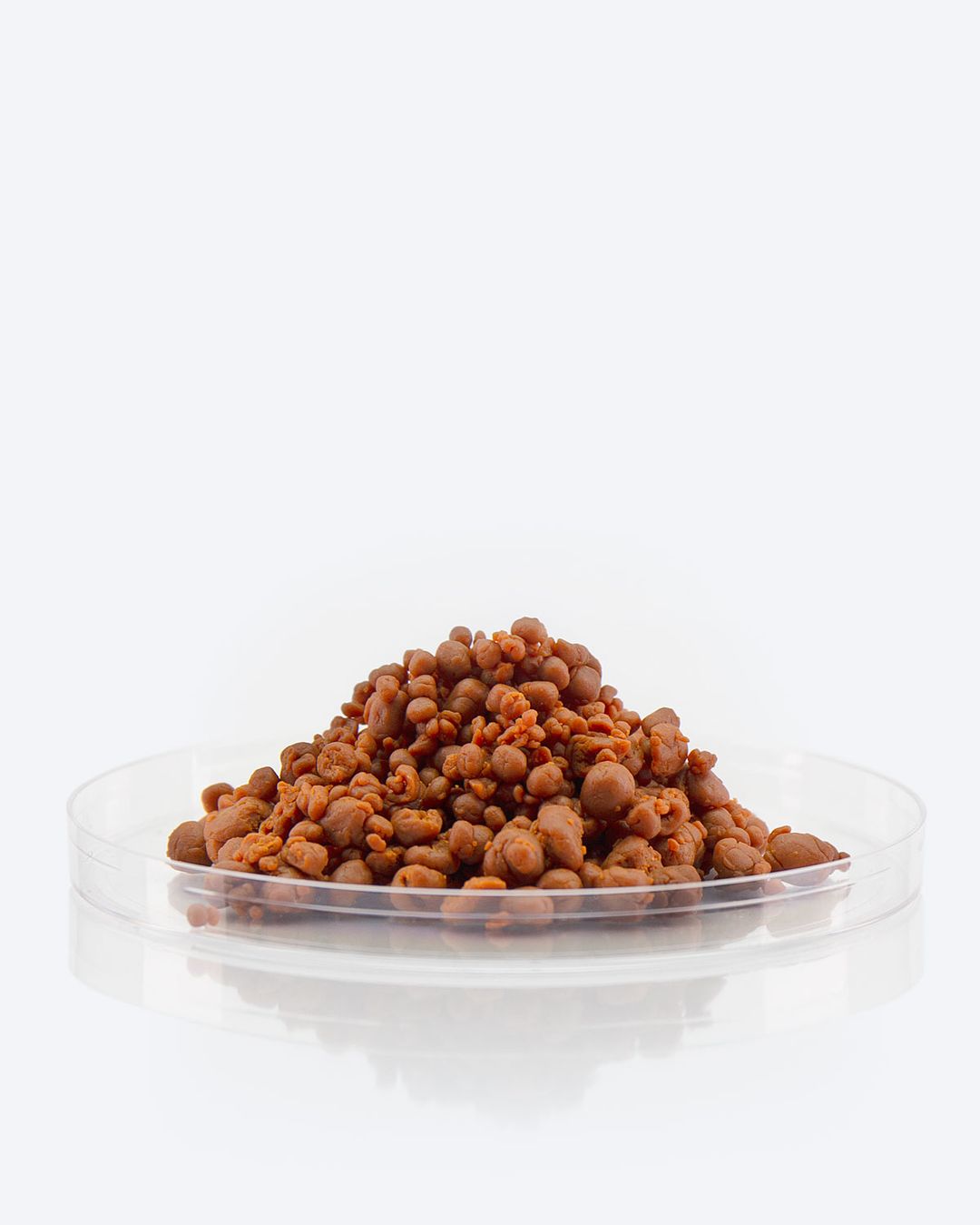 Krill collection for Pet nutrition