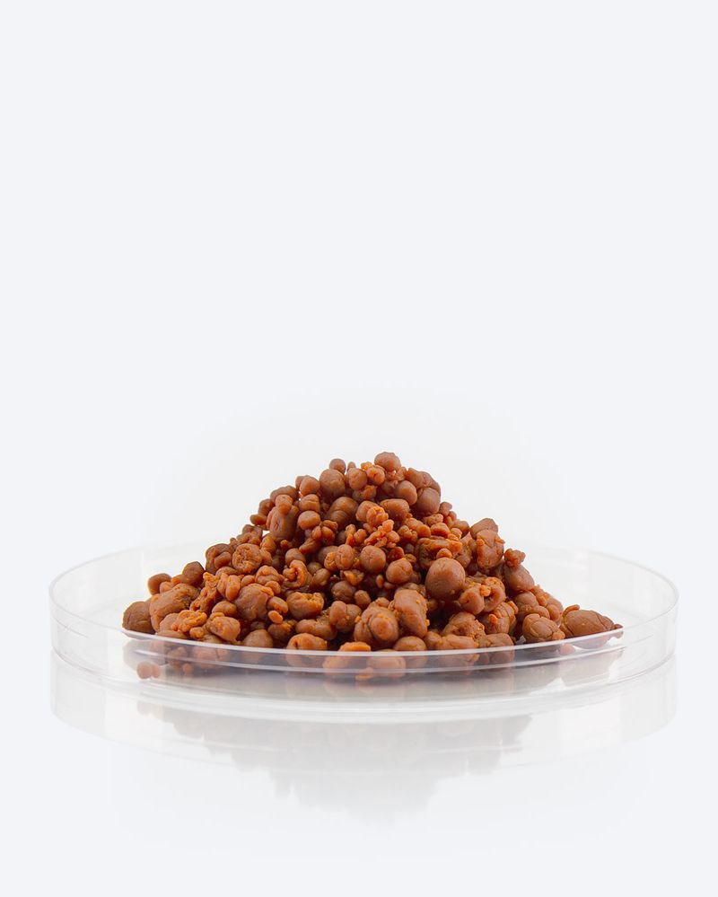 Krill collection for Pet nutrition