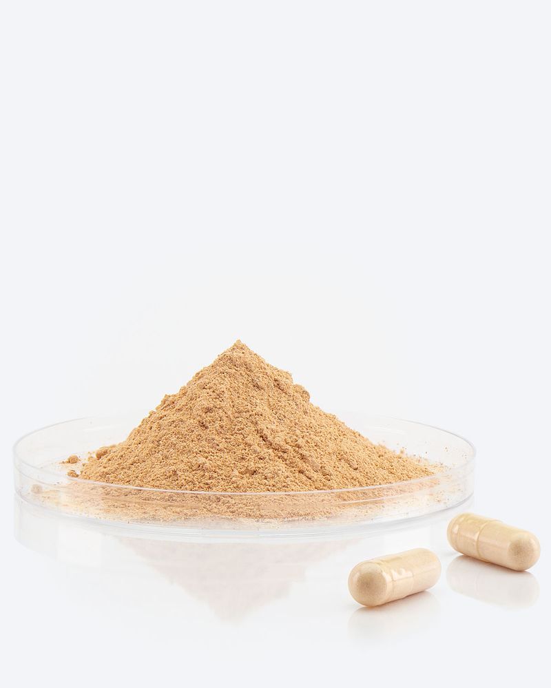 Krill collection for Human nutrition