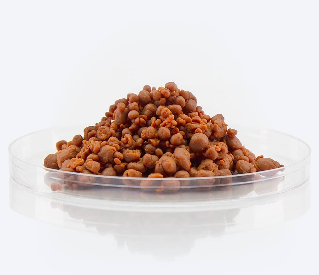 Krill collection for Pet nutrition