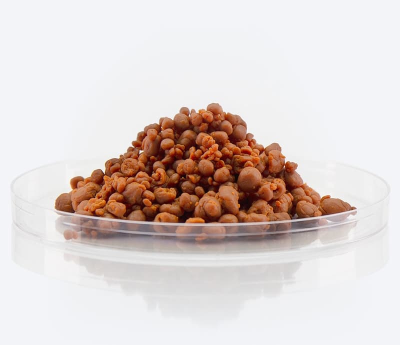 Krill collection for Pet nutrition