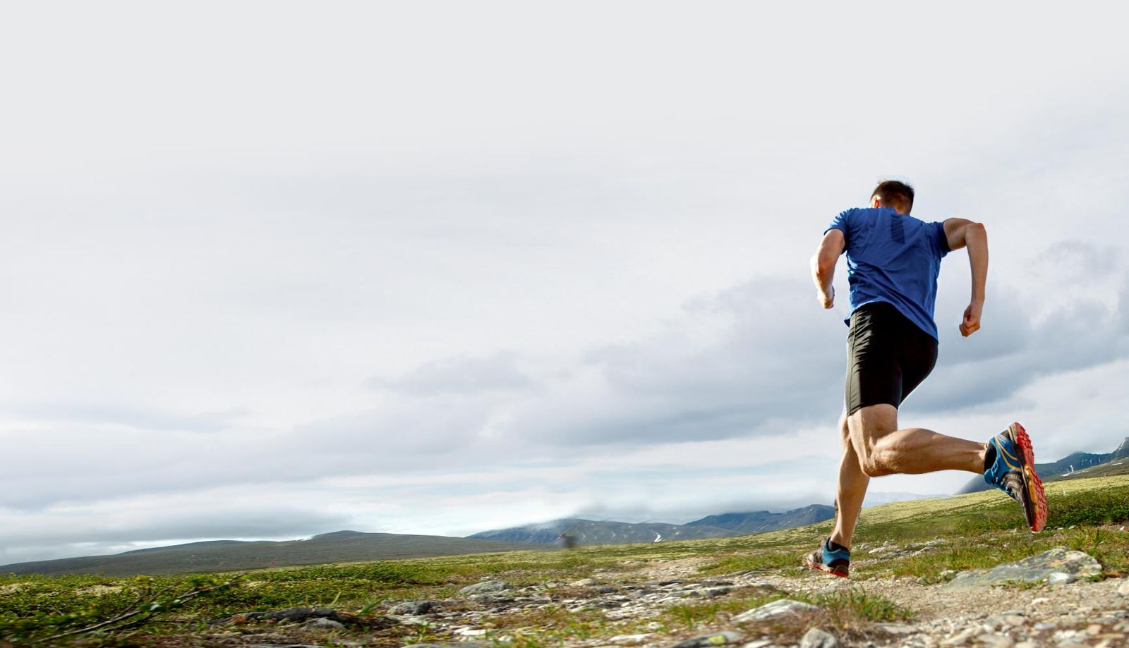 Krill collection for Human nutrition