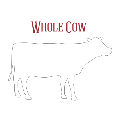 Oak Cattle Farms: Premium Quality Beef from Eastern NC