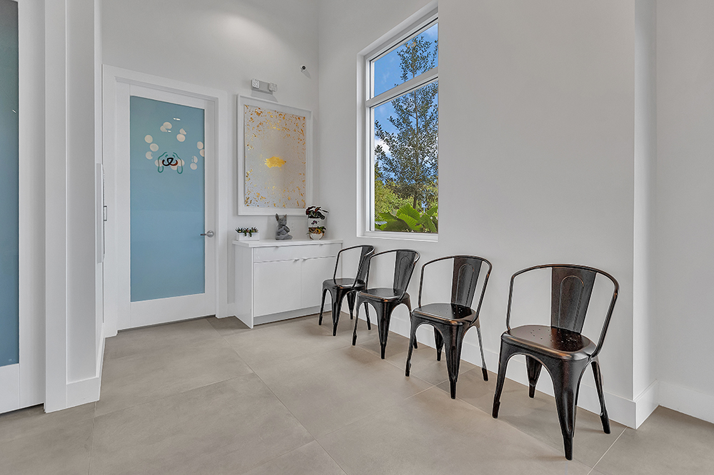 High-Quality Vet Hospital in Lake Worth, FL | Mindful Veterinary Care