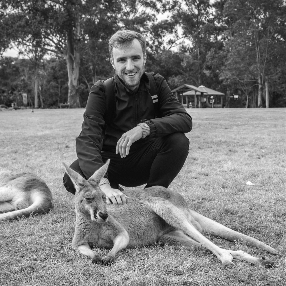 Domain Money - Expert Financial Advisors