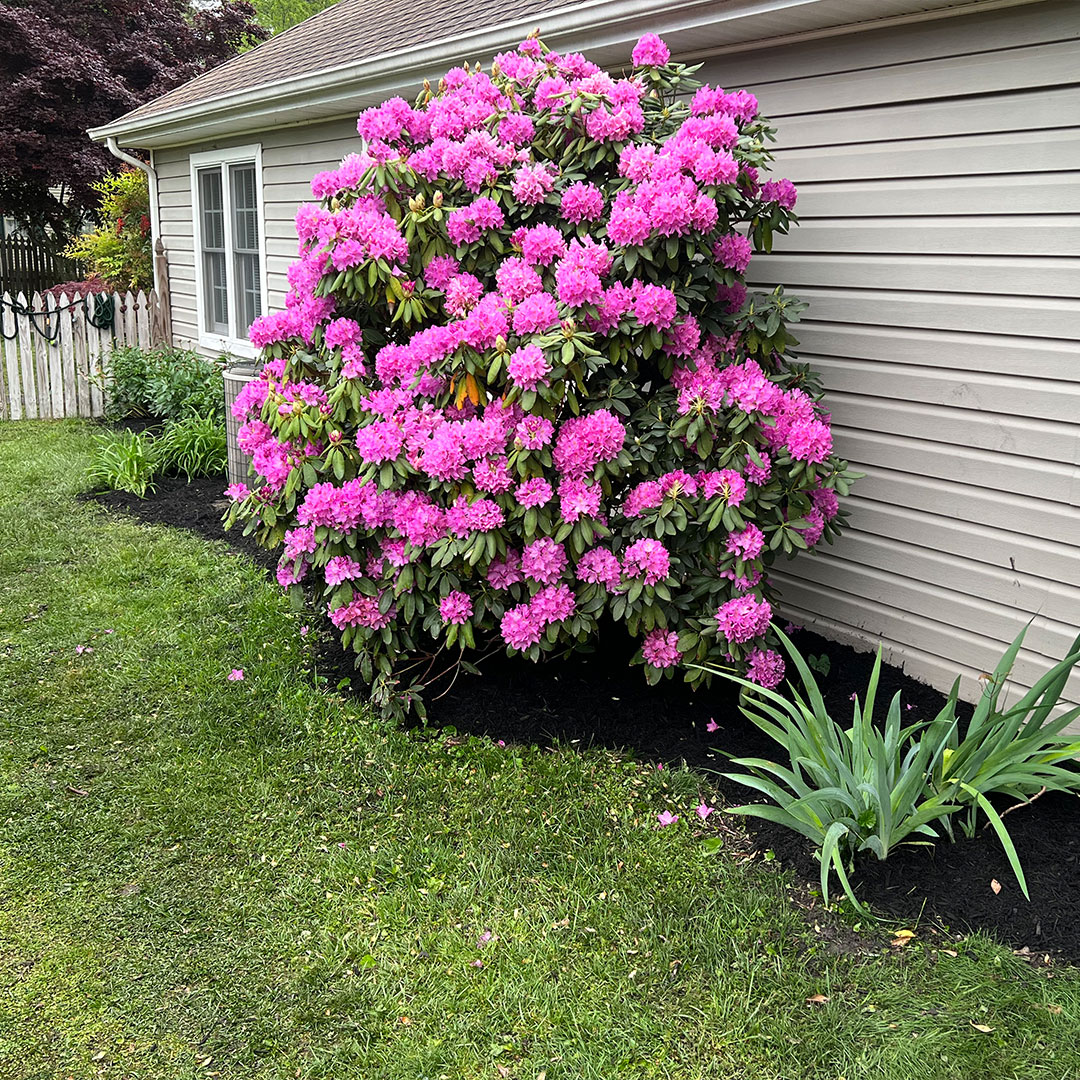 Salisbury, MD Lawn Care & Landscaping | Good Guys Landscaping