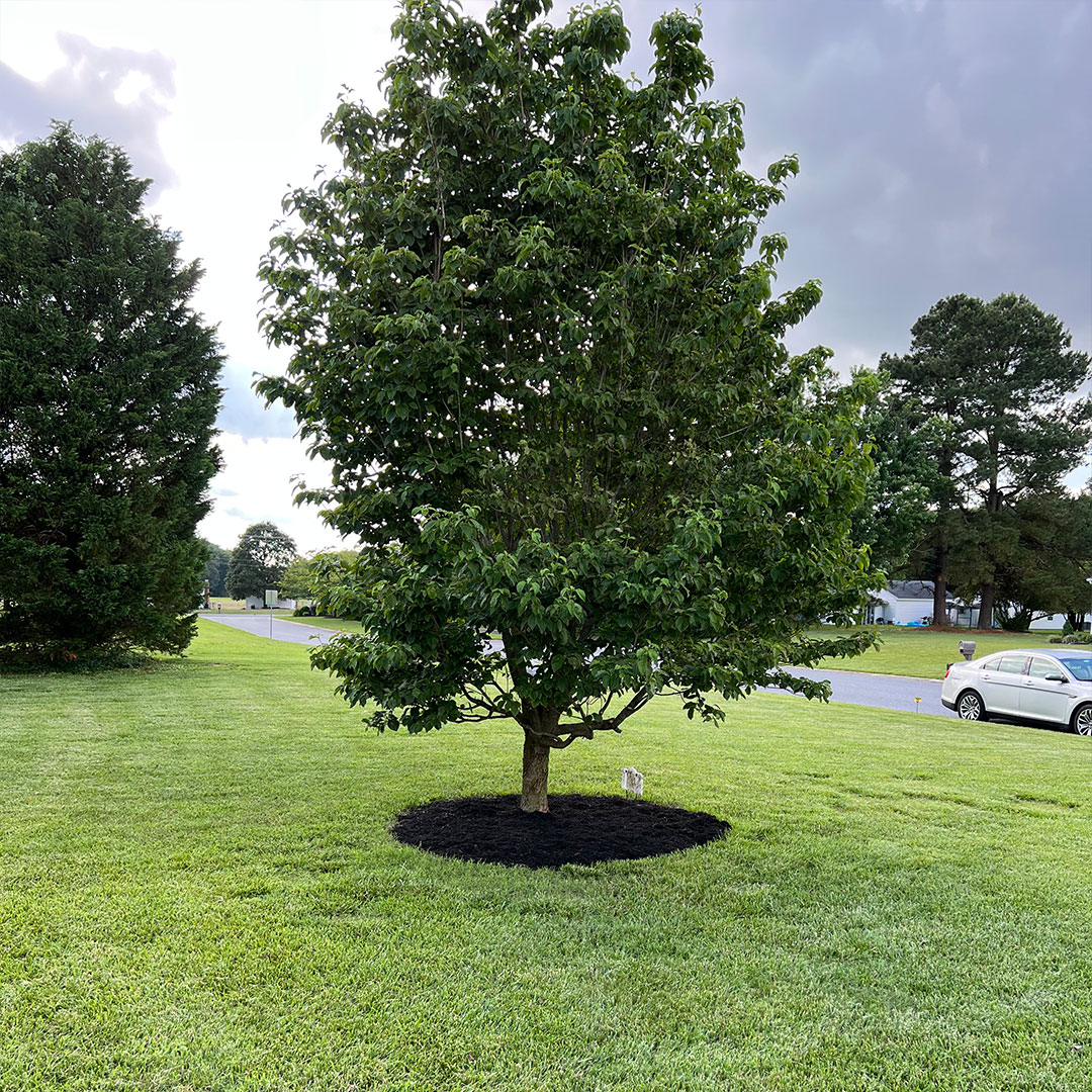 Salisbury, MD Lawn Care & Landscaping | Good Guys Landscaping