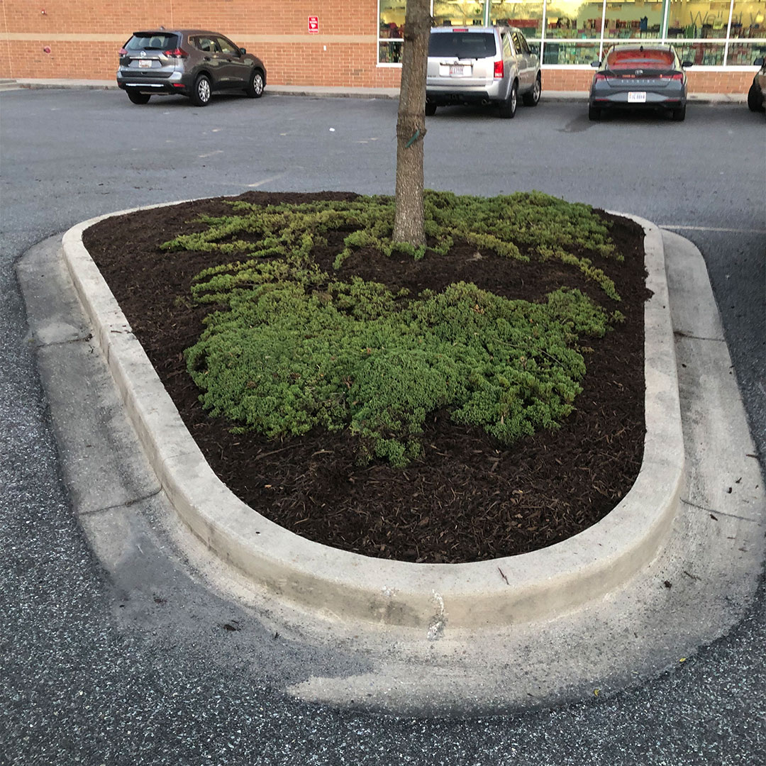 Salisbury, MD Lawn Care & Landscaping | Good Guys Landscaping
