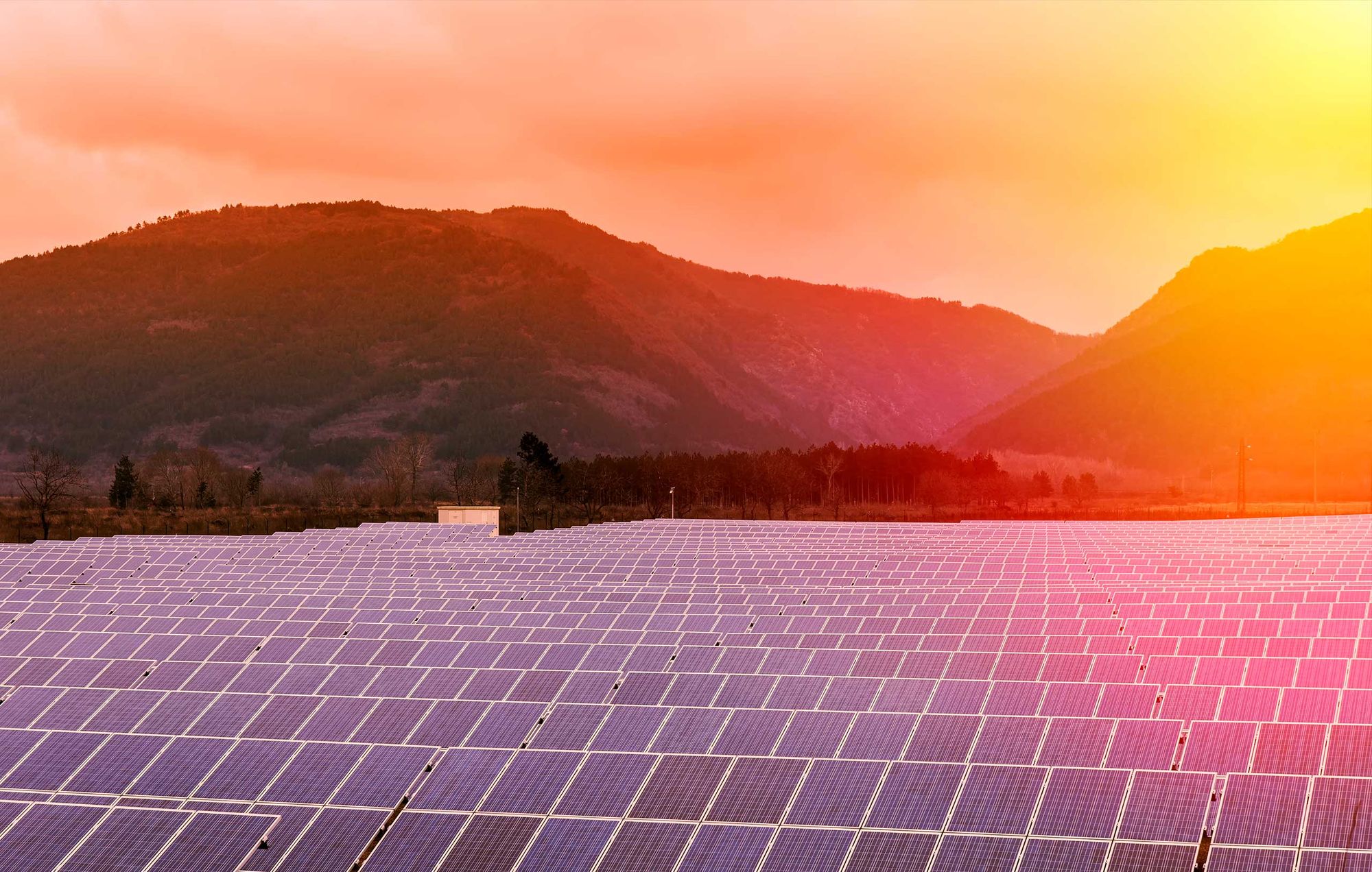 Proteus Power | Utility Scale Renewable Energy Developer