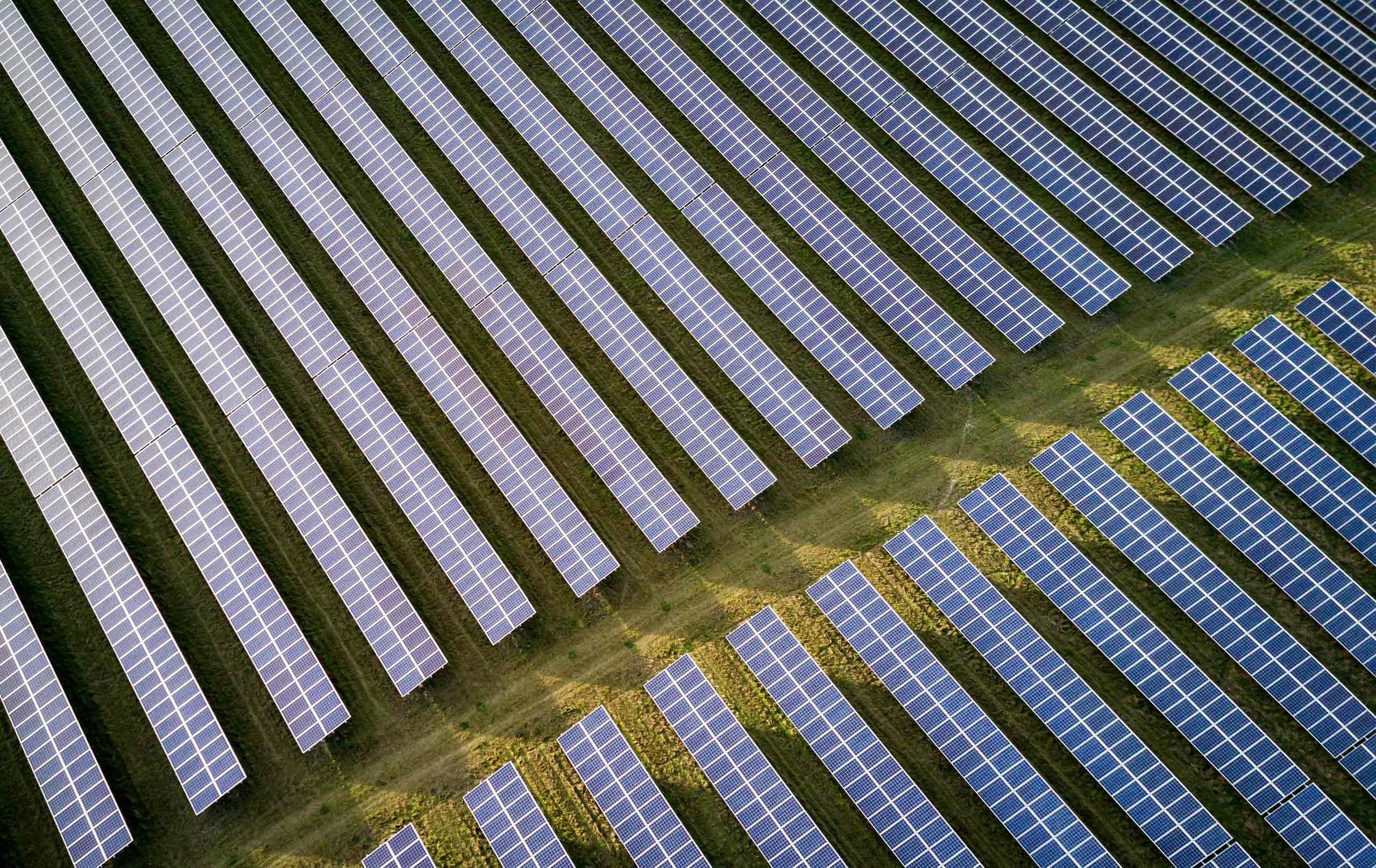 Oak Forest Solar Project | Proteus Power