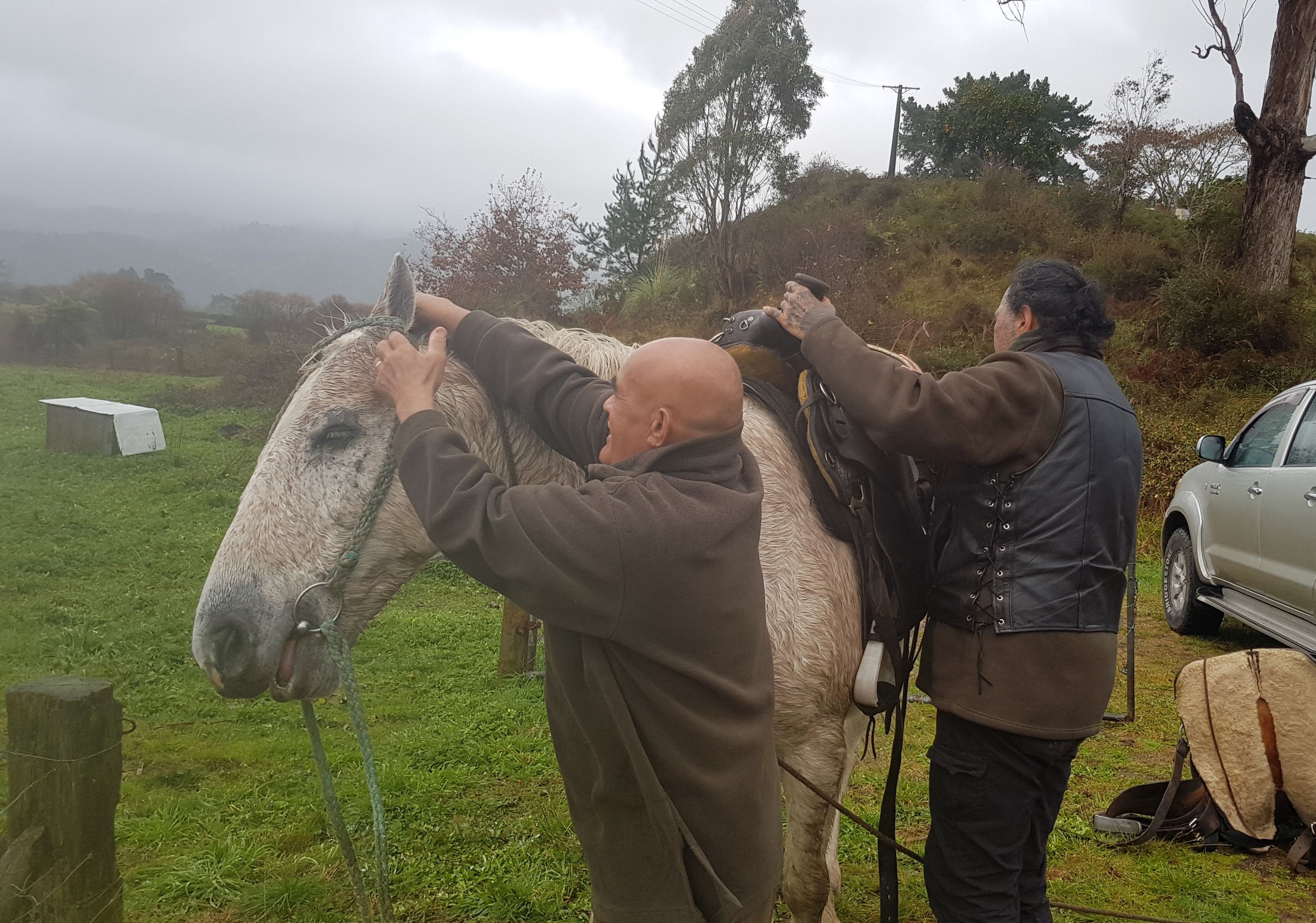 Ratonga | Services - Tūhoe Hauora