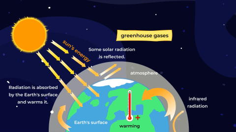 MightyOwl - Humans are working to improve impacts on the environment