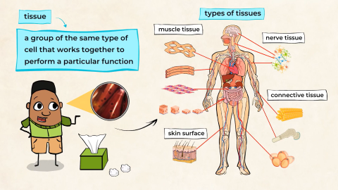 MightyOwl - All systems work together