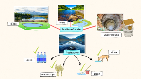 MightyOwl - Saltwater and freshwater on Earth