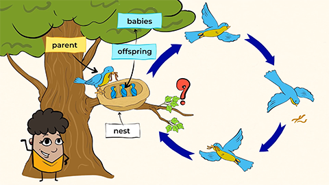 MightyOwl - Parents help their babies survive