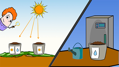 MightyOwl - Do plants need water and sunlight to grow? - let's investigate!