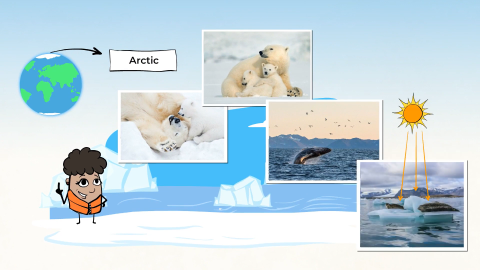 MightyOwl - Habitats - the Arctic