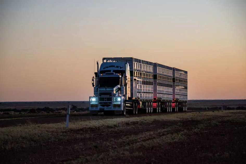 Curley Cattle Transport | Cloncurry, Queensland
