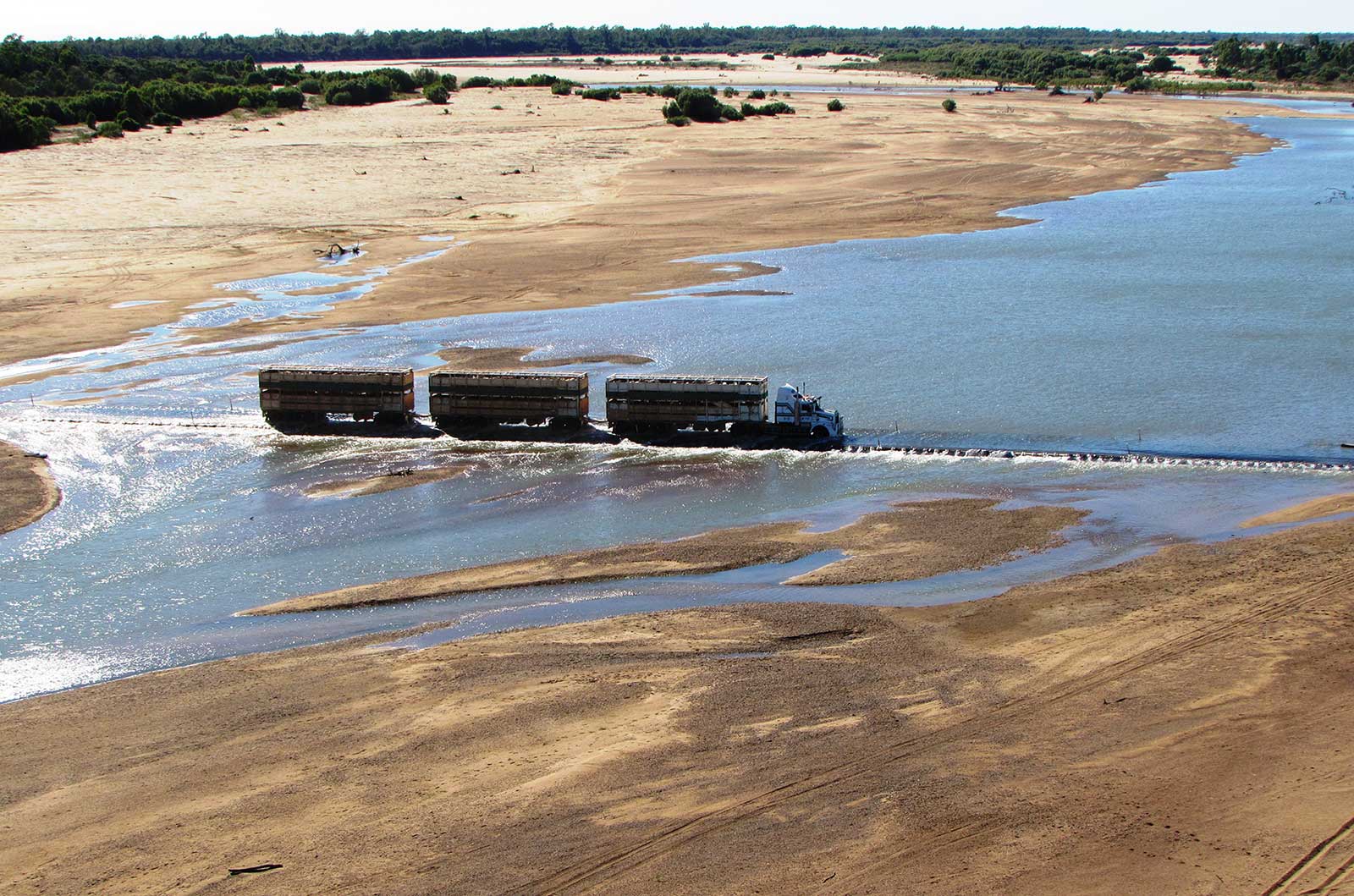 Curley Cattle Transport | Cloncurry, Queensland