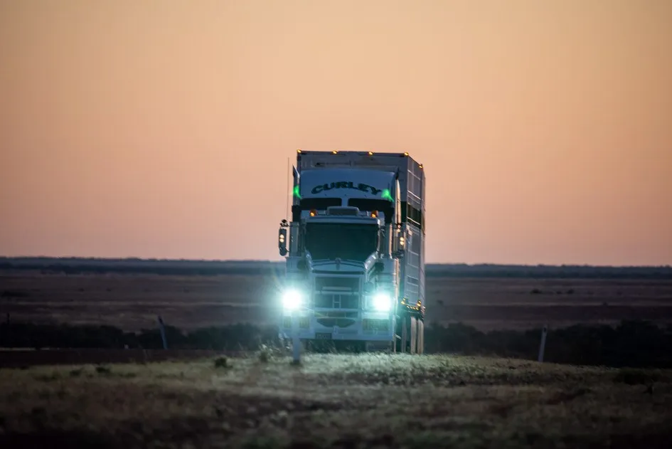 Careers - Curley Cattle Transport | Queensland