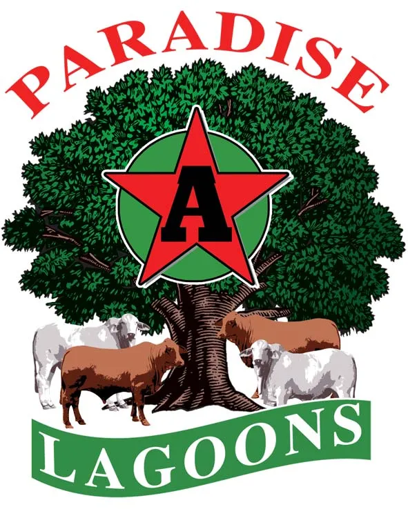 Curley Cattle Transport | Cloncurry, Queensland