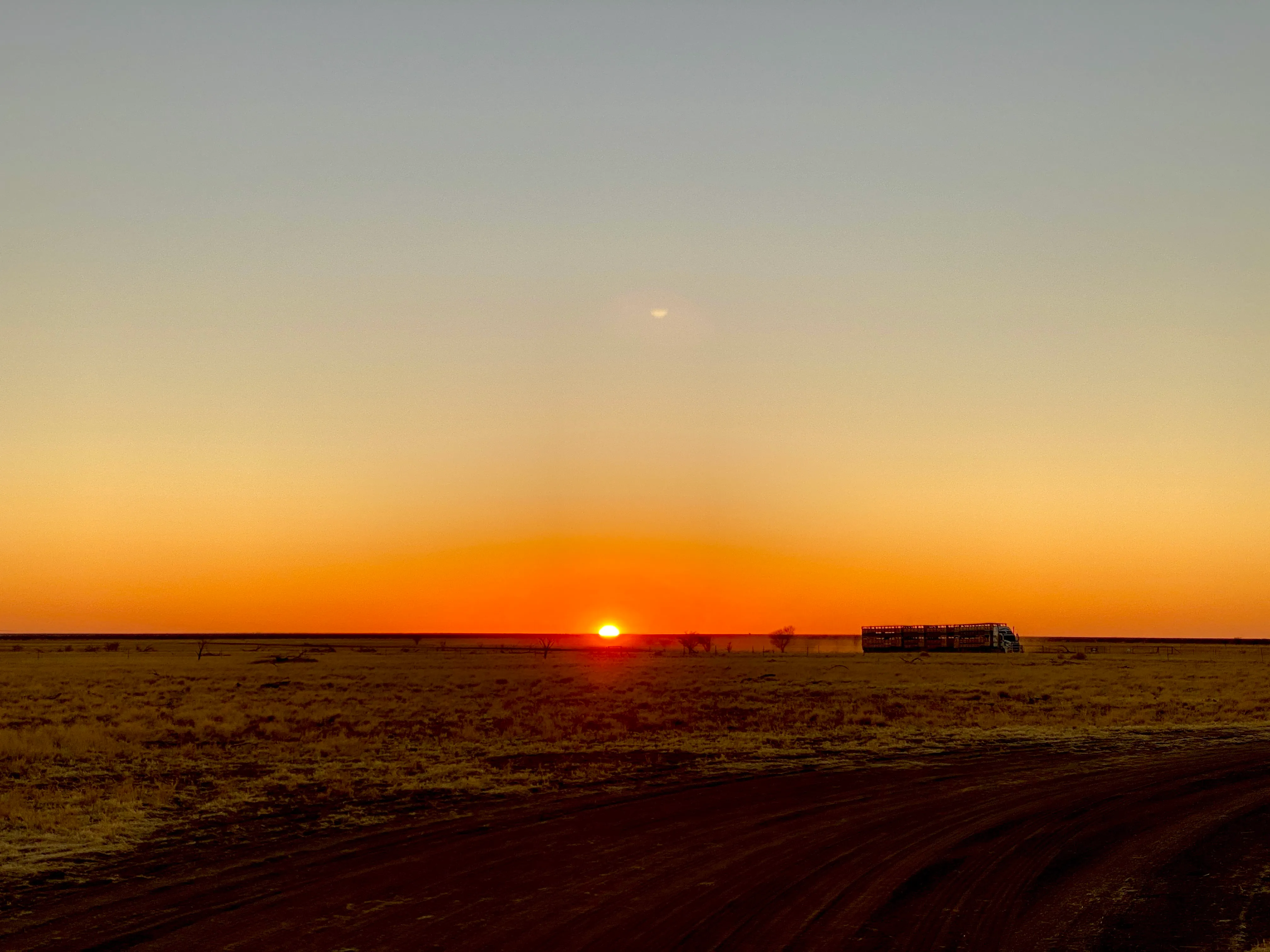 Our History - Curley Cattle Transport | Queensland