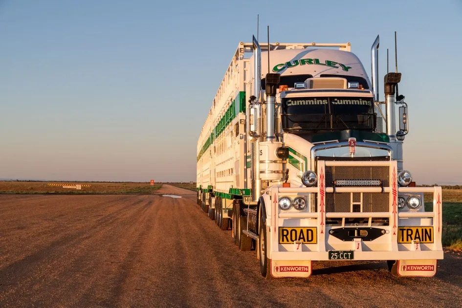 Our History - Curley Cattle Transport | Queensland