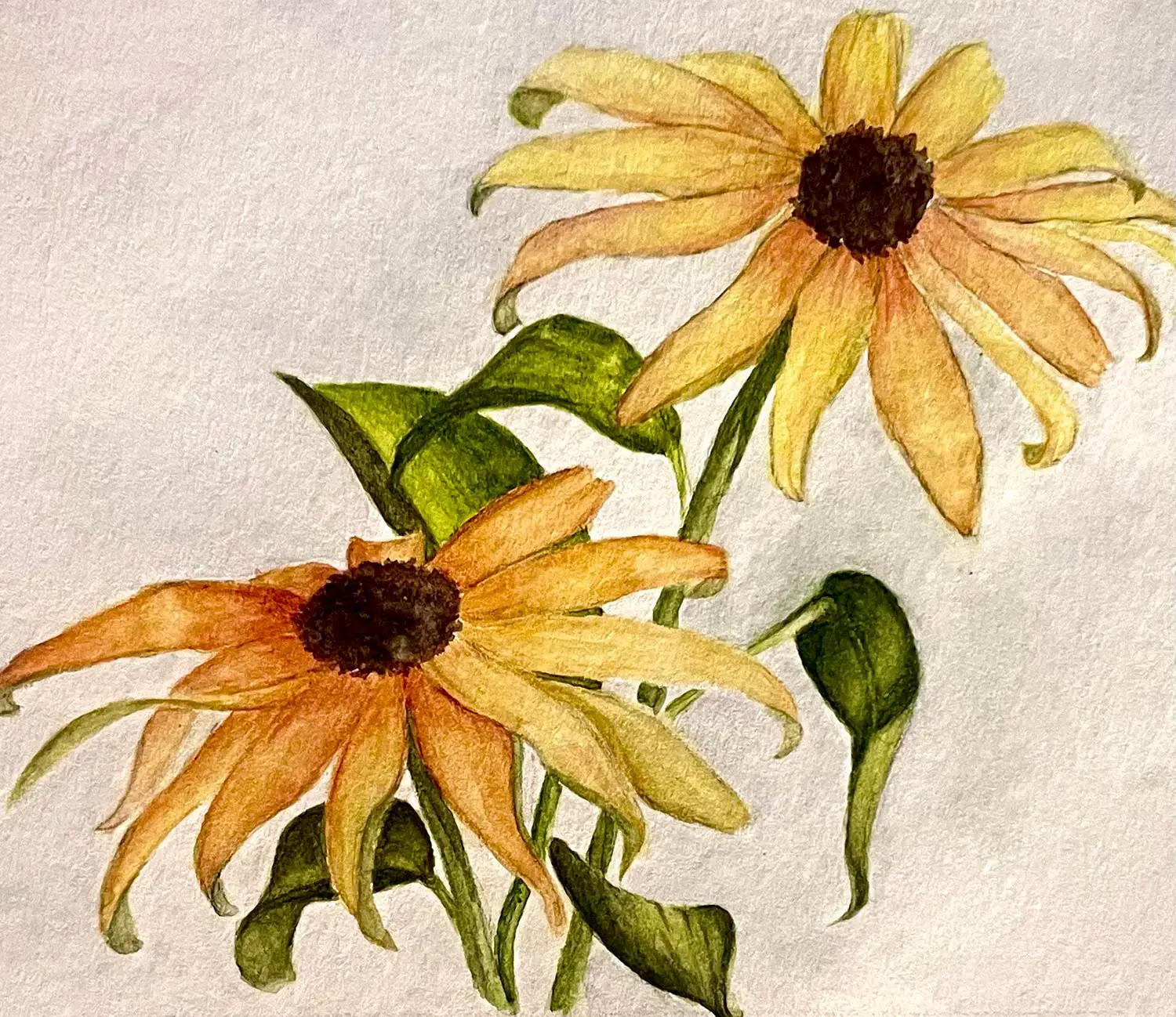 Gallery - View Elena Lazo-Meyer's Art