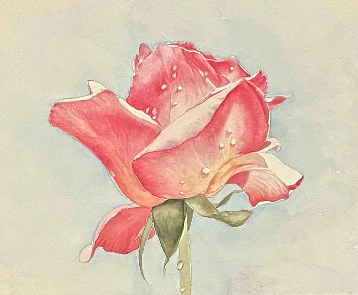 Gallery - View Elena Lazo-Meyer's Art