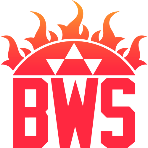 Blizzard Fund by Avalanche