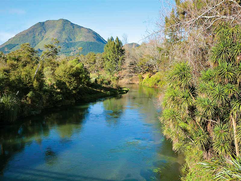 Eastern Bay of Plenty Iwi Provider Alliance | Te Kāhui Kaiwhakarato Iwi ...