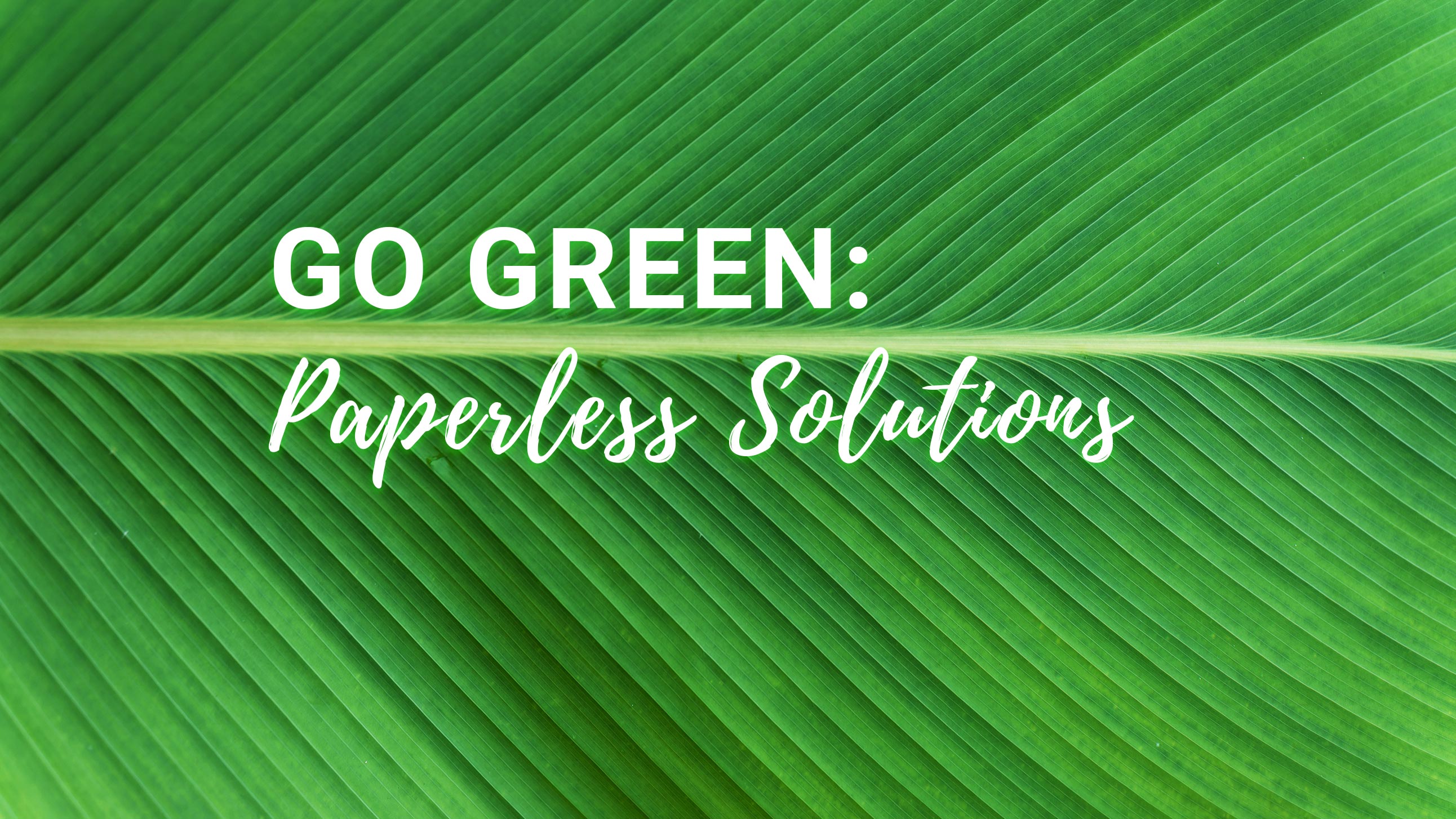 Why "Go Green" is the Future of Building Inspections - Building ...